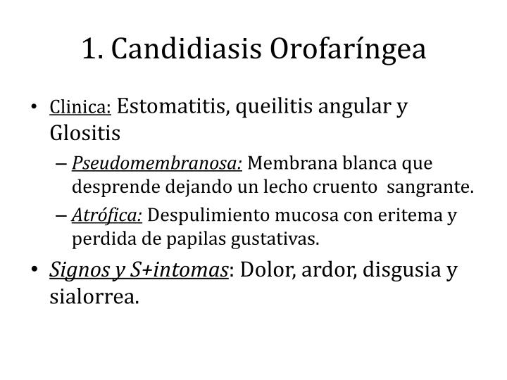 PPT - ENFERMEDADES PRODUCIDAS POR HONGOS PowerPoint Presentation - ID ...