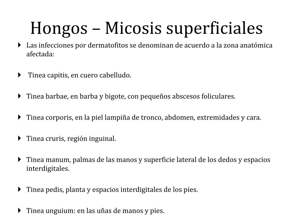 PPT - ENFERMEDADES PRODUCIDAS POR HONGOS PowerPoint Presentation, free ...