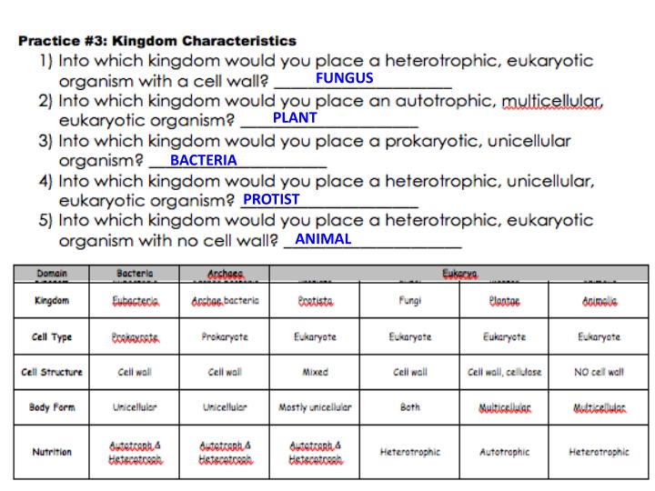 PPT - Dichotomous Keys, Phylogenic Trees & Cladograms PowerPoint ...