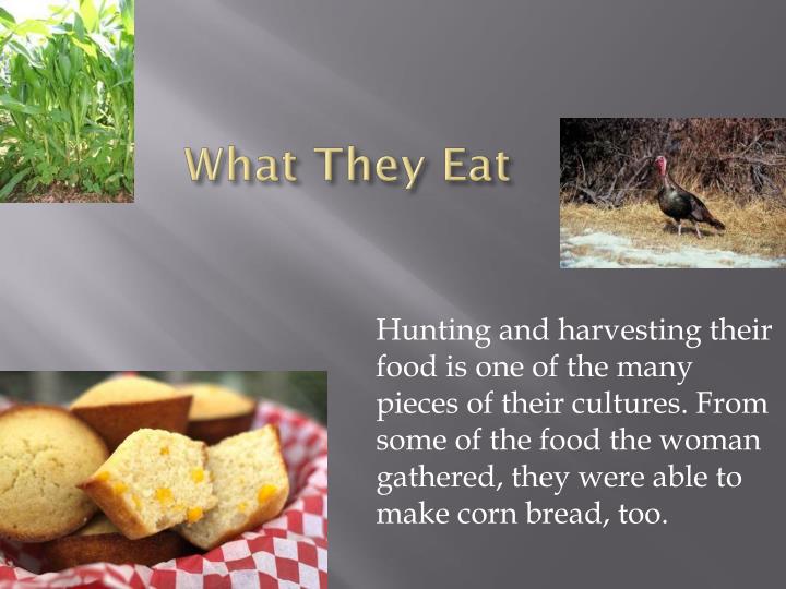 PPT - Choctaw Indians of the southeast PowerPoint Presentation - ID:2130438