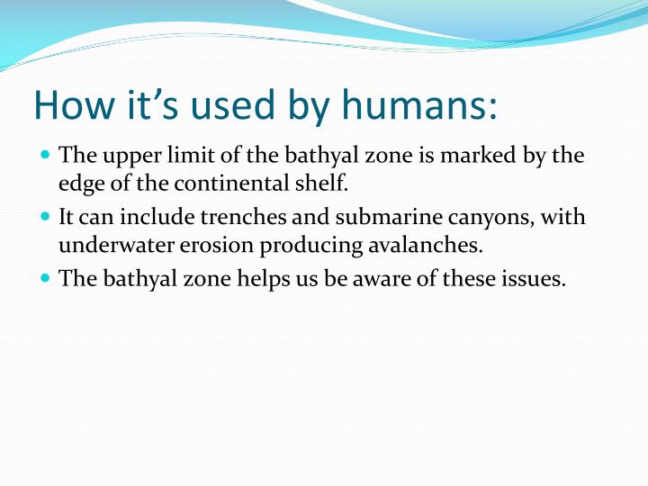 PPT - Bathyal Zone of the Aquatic Biome PowerPoint Presentation - ID ...