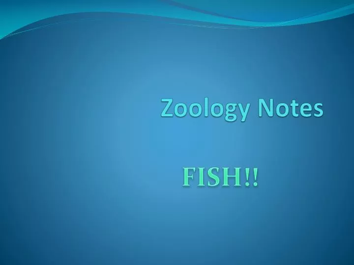 PPT - Zoology Notes PowerPoint Presentation, free download - ID:2130573