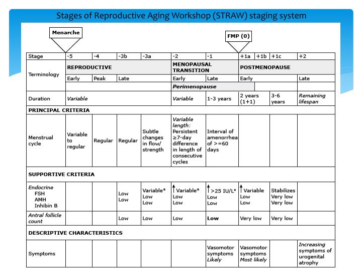 PPT - Perimenopause and Menopause PowerPoint Presentation - ID:2130625