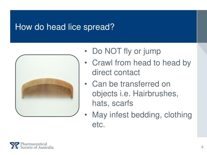 PPT - HEADLICE PowerPoint Presentation - ID:2130774