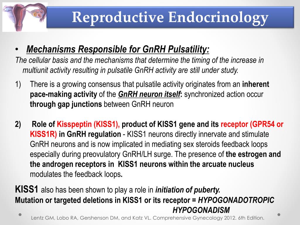 Ppt Reproductive Endocrinology Powerpoint Presentation Free Download