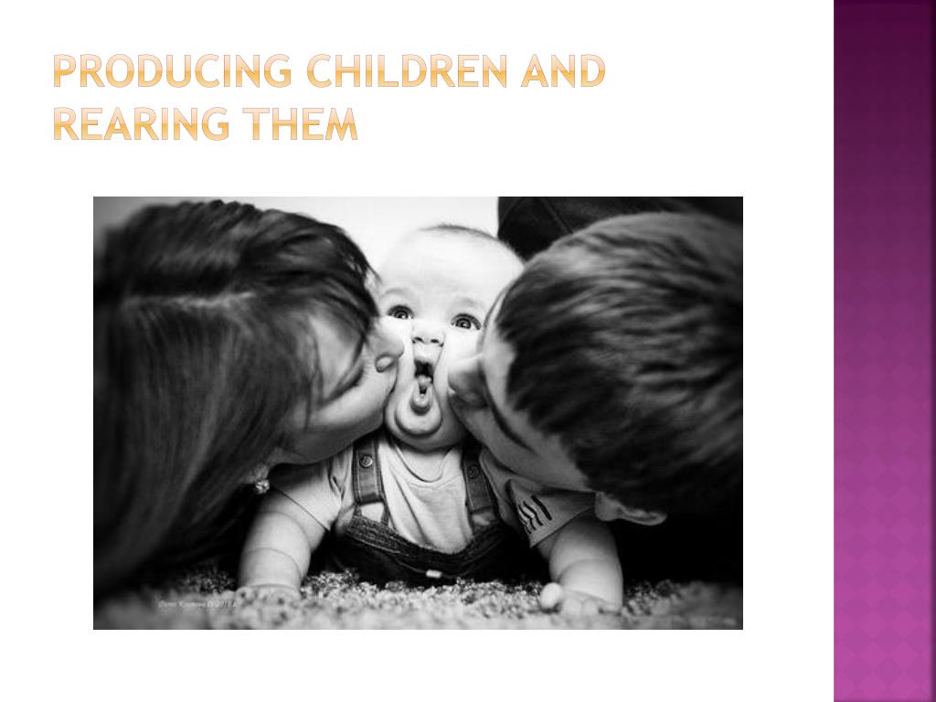PPT - Major Social Institutions The Family PowerPoint Presentation ...