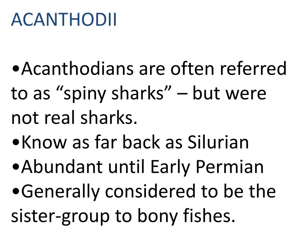 PPT - Stuart S. Sumida Biology 342 ( Simplified) Phylogey of Fishes ...