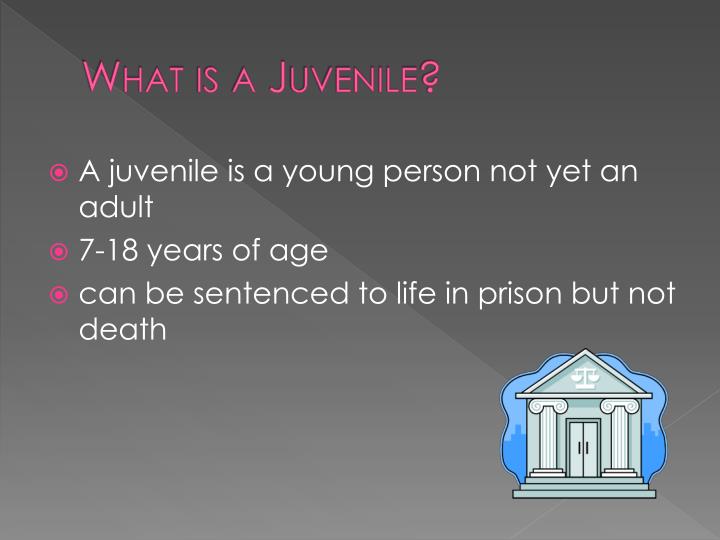 PPT - Juvenile Justice PowerPoint Presentation - ID:2131162