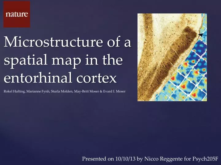 PPT - Microstructure of a spatial map in the entorhinal cortex ...
