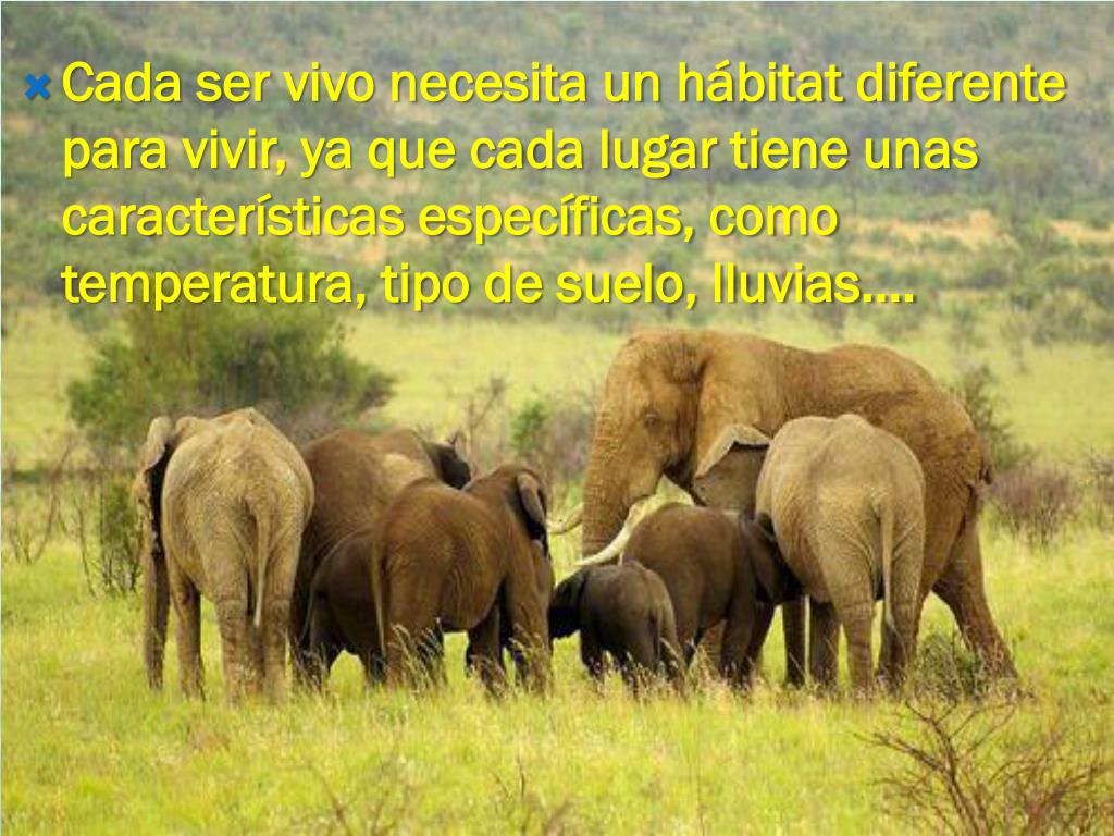Caracteristicas de los seres vivos y su ambiente Spanish PowerPoint ...