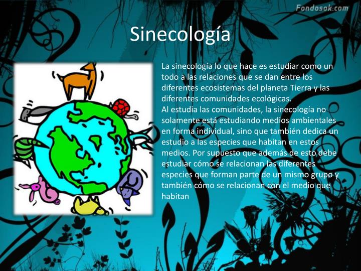 PPT - Ecología Factores ambientales PowerPoint Presentation - ID:2131756