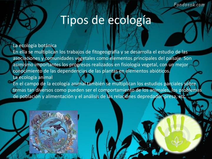 PPT - Ecología Factores ambientales PowerPoint Presentation - ID:2131756