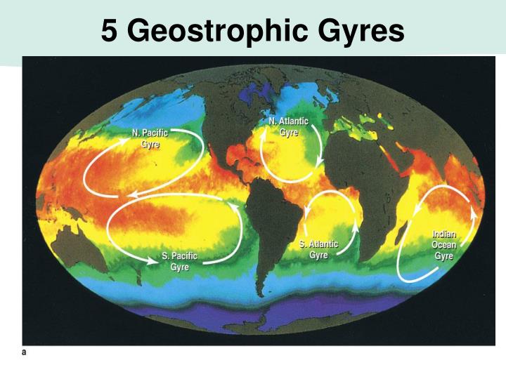 PPT - Chapter 9 Circulation of the Ocean PowerPoint Presentation - ID ...