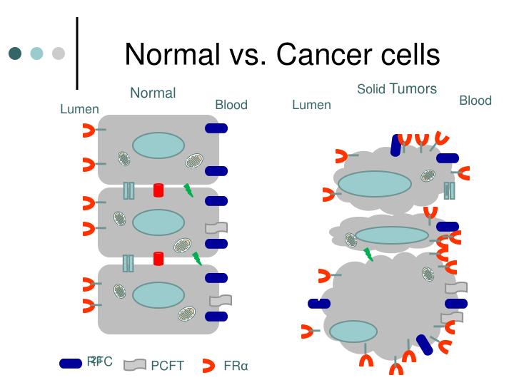 Normal Cells Vs Cancer Cells