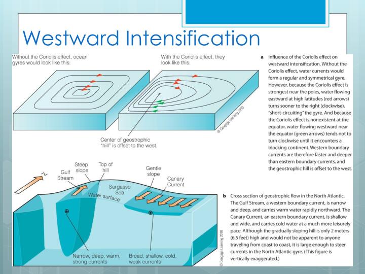 PPT - Chapter 9 PowerPoint Presentation - ID:2132392