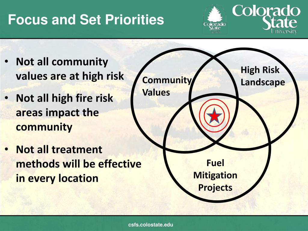 PPT - Community Wildfire Protection Plans Pikes Peak Wildfire ...