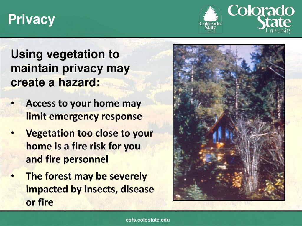 PPT - Community Wildfire Protection Plans Pikes Peak Wildfire ...