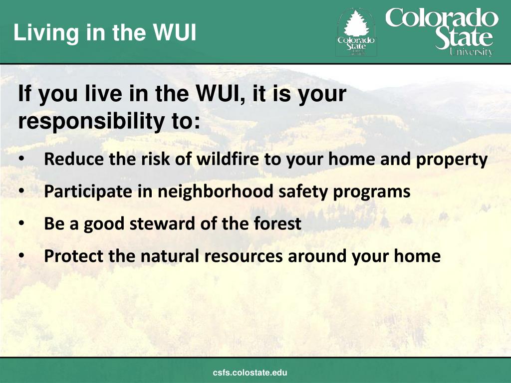 PPT - Community Wildfire Protection Plans Pikes Peak Wildfire ...