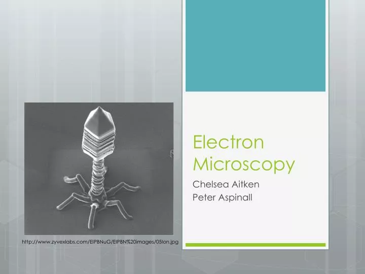 PPT - Electron Microscopy PowerPoint Presentation, free download - ID ...