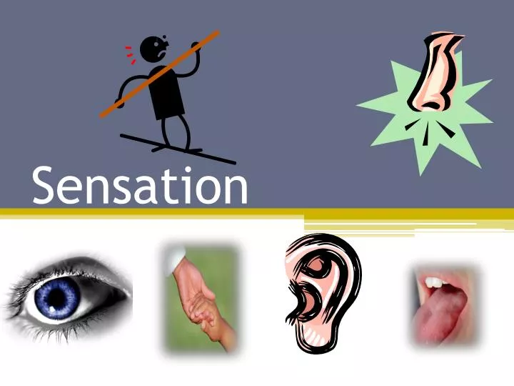 PPT - Sensation PowerPoint Presentation, free download - ID:2132743