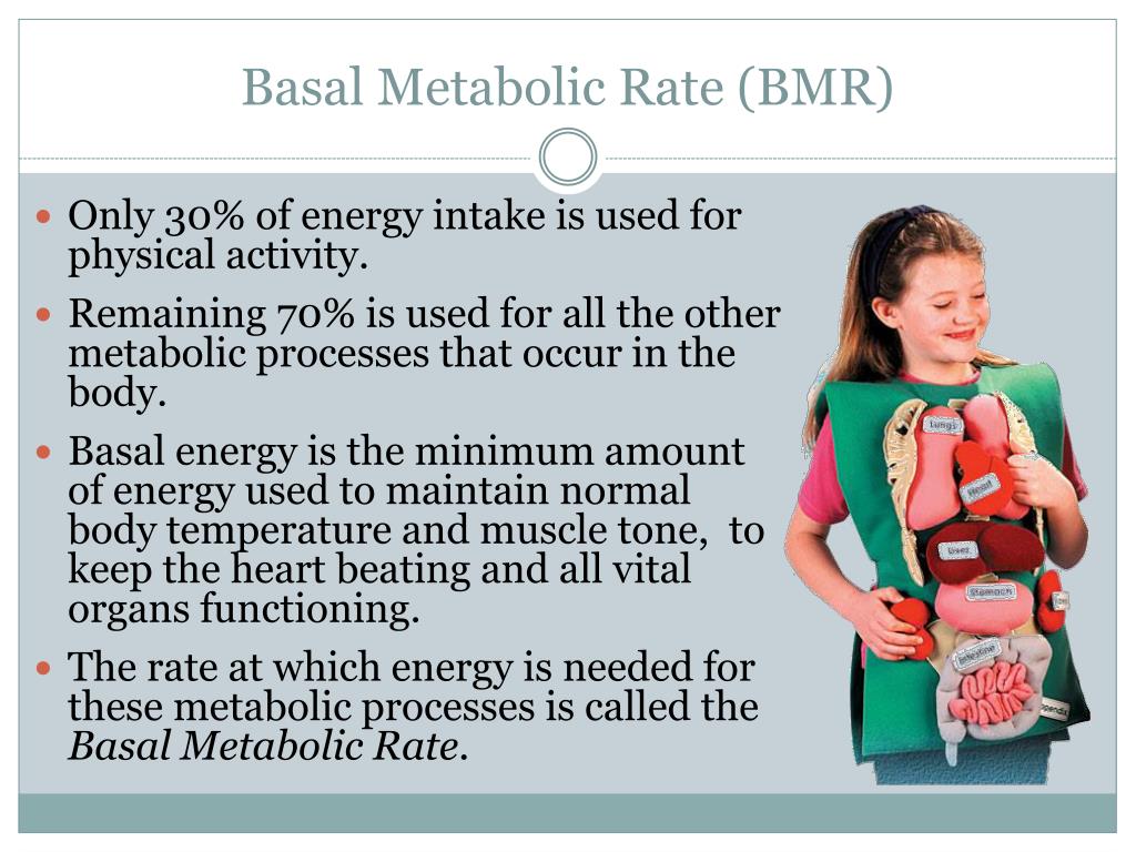 Basal Metabolic Rate And Factors Affecting BMR Presentation Basal Metabolic Rate And Factors Affecting BMR Presentation