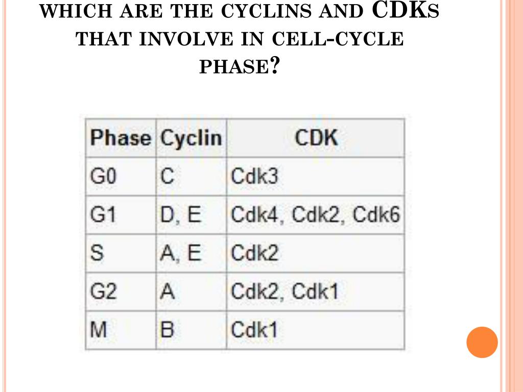 PPT - Role of Cynlin -Dependent Kinases Inhibitors in Cell Growth ...