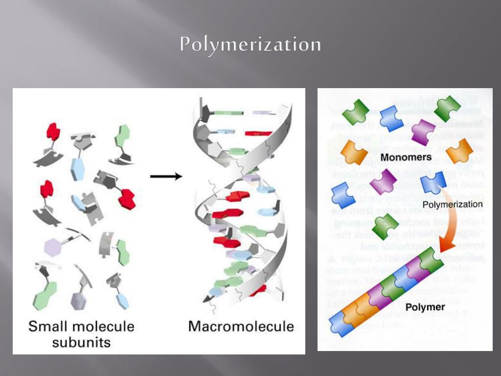 PPT - ORGANIC CHEMISTRY PowerPoint Presentation, free download - ID:2133381