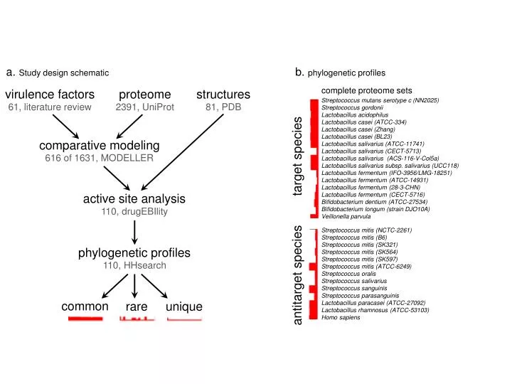 PPT - a . Study design schematic PowerPoint Presentation, free download ...