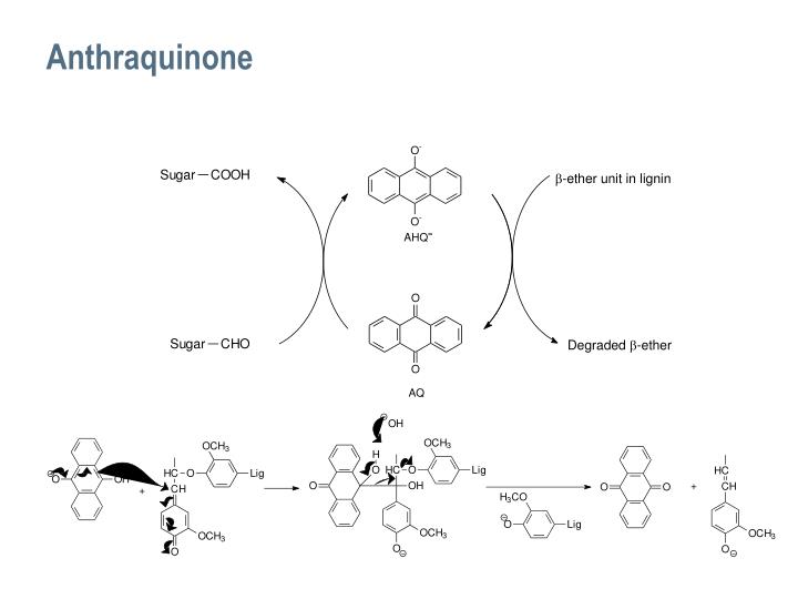 PPT - Kraft pulping PowerPoint Presentation - ID:2133629