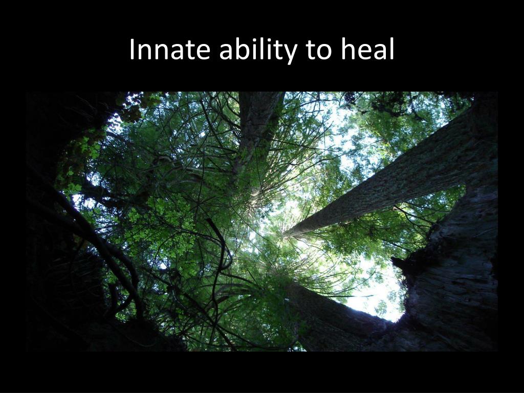 PPT - Vitamin D3 for Health, Cancer Prevention and Recovery PowerPoint ...