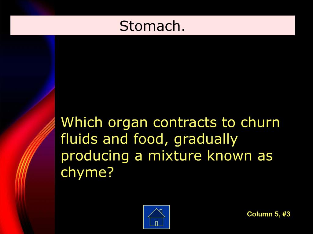 PPT - Human Anatomy & Physiology Final Jeopardy Mrs. Geist Bodine High ...