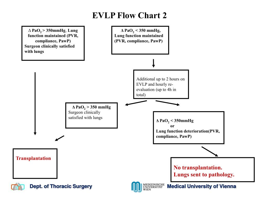 PPT - Ex Vivo Lung Perfusion (EVLP) Clemens Aigner , MD Vienna Lung ...