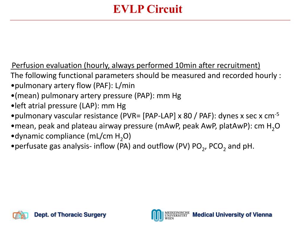 PPT - Ex Vivo Lung Perfusion (EVLP) Clemens Aigner , MD Vienna Lung ...
