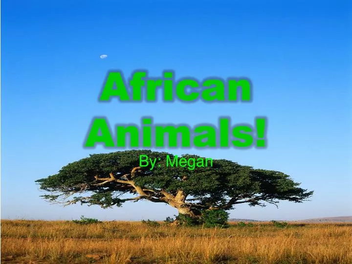 PPT - African Animals! PowerPoint Presentation, free download - ID:2134839