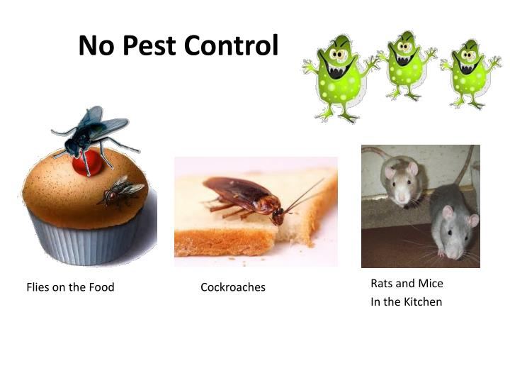 PPT - BASIC INTRODUCTION TO FOOD HYGIENE & SAFETY PowerPoint ...