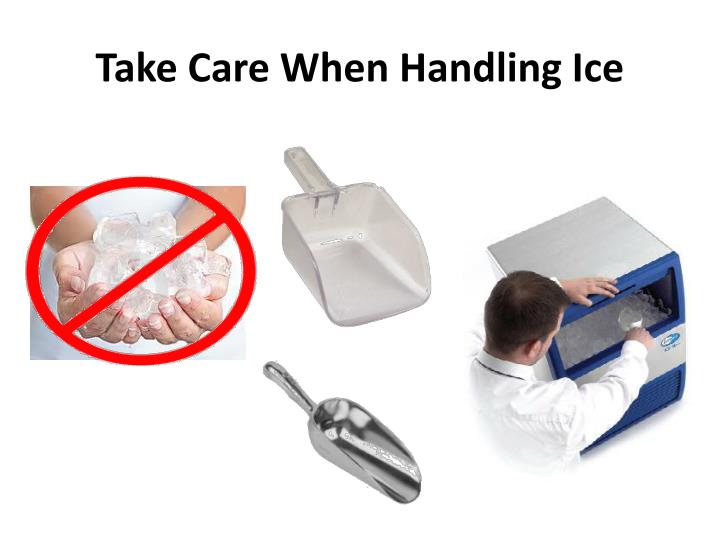 PPT - BASIC INTRODUCTION TO FOOD HYGIENE & SAFETY PowerPoint ...