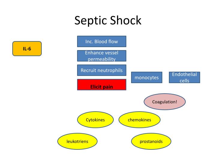 PPT - Pathophysiology PowerPoint Presentation - ID:2135619