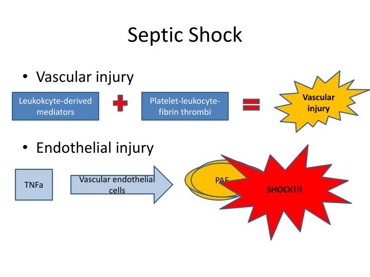 PPT - Pathophysiology PowerPoint Presentation - ID:2135619
