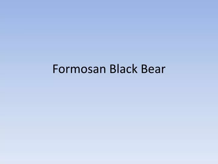 PPT - Formosan Black Bear PowerPoint Presentation, free download - ID ...