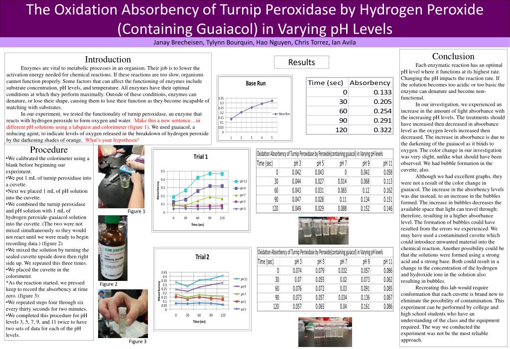 PPT - Janay Brecheisen , Tylynn Bourquin, Hao Nguyen, Chris Torrez, Ian ...