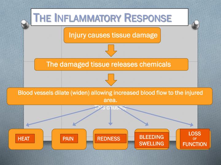 PPT - The Physiological and Psychological responses to sports injuries ...