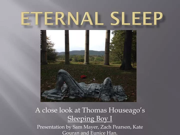 PPT - Eternal Sleep PowerPoint Presentation, free download - ID:2135919
