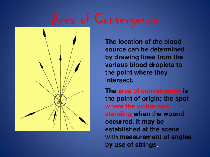 PPT - Bloodspatter Pattern Analysis PowerPoint Presentation - ID:2135921