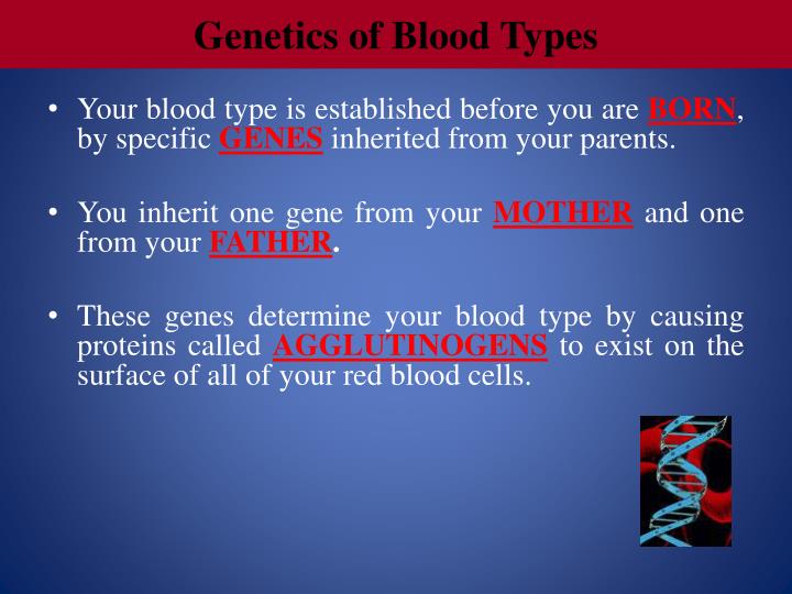 PPT - Bloodspatter Pattern Analysis PowerPoint Presentation - ID:2135921
