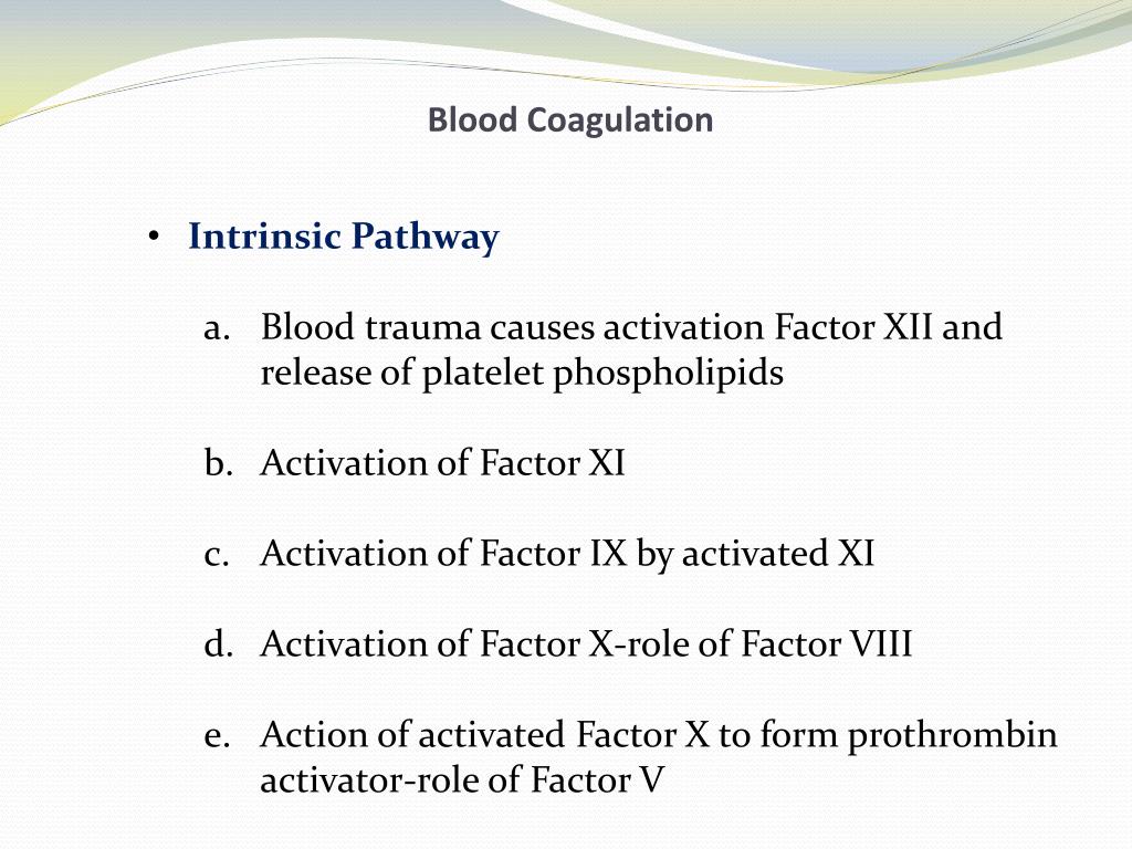 PPT - Unit Six: Blood Cells, Immunity, and Blood Coagulation PowerPoint ...