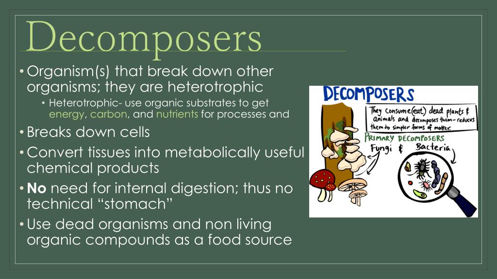 PPT - By: Jacob Pasley Dedicated to: Dr. Burke PowerPoint Presentation ...