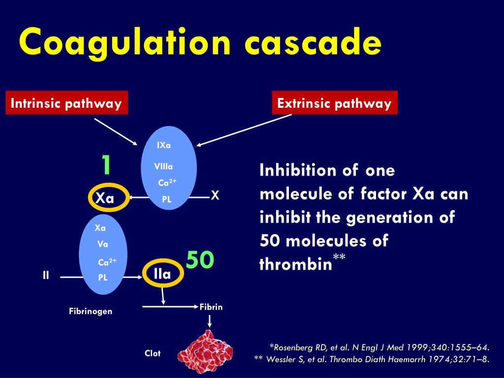 PPT - Anti-coagulants during Hemodialysis PowerPoint Presentation, free ...