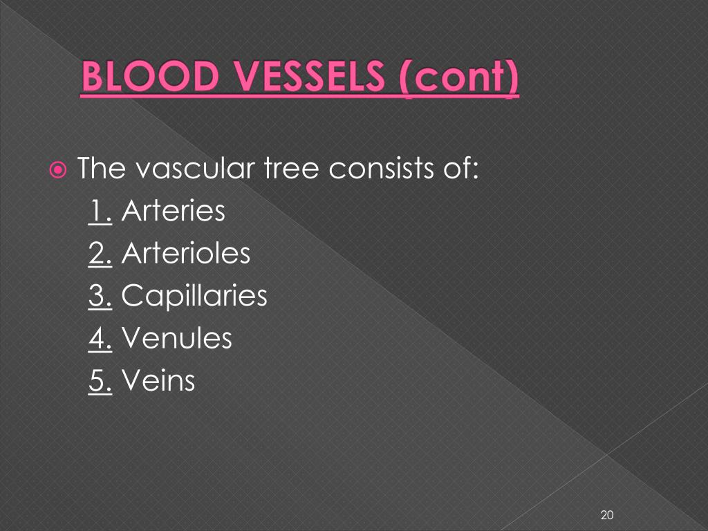 PPT - INTRODUCTION TO BLOOD & BLOOD VESSELS PowerPoint Presentation ...