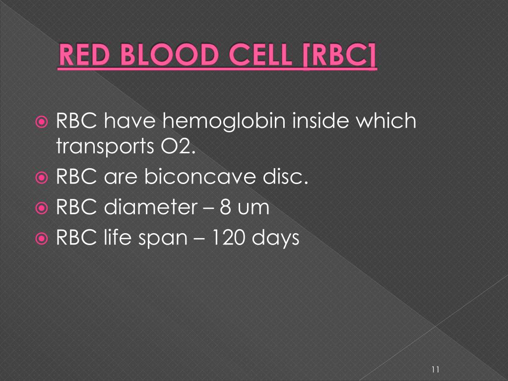 PPT - INTRODUCTION TO BLOOD & BLOOD VESSELS PowerPoint Presentation ...