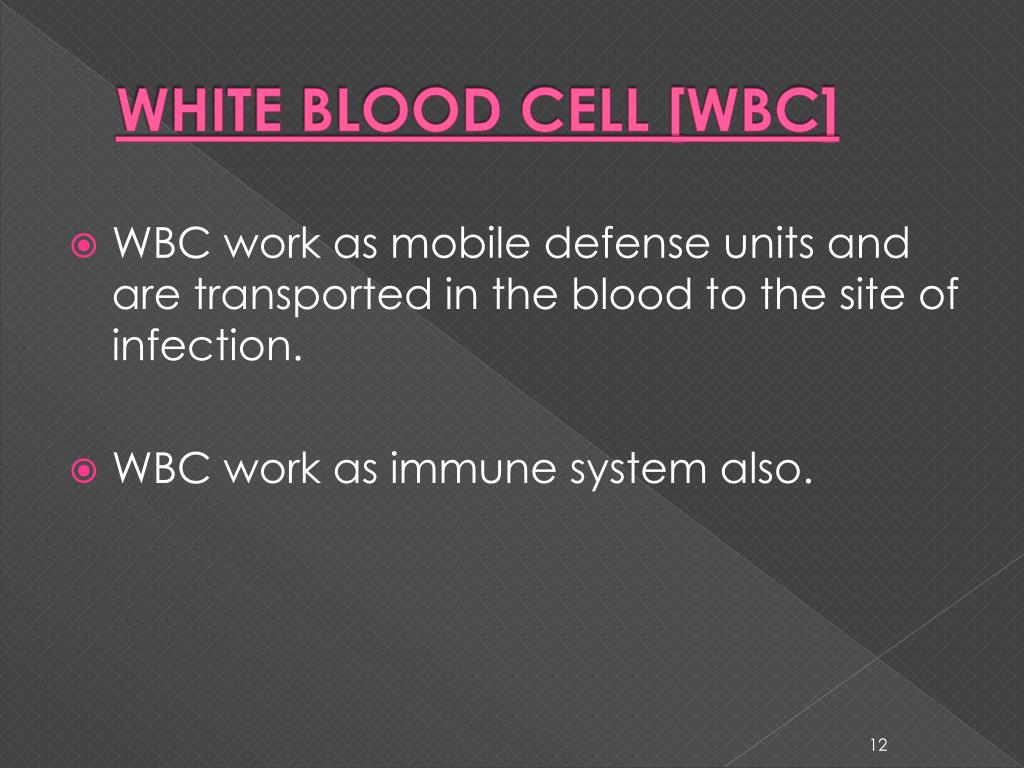 PPT - INTRODUCTION TO BLOOD & BLOOD VESSELS PowerPoint Presentation ...